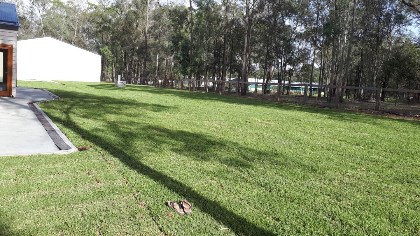 Maraylya – Millers Turf